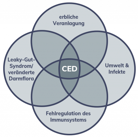 Morbus Crohn & Colitis ulcerosa (CED) | Praxis Breitenberger