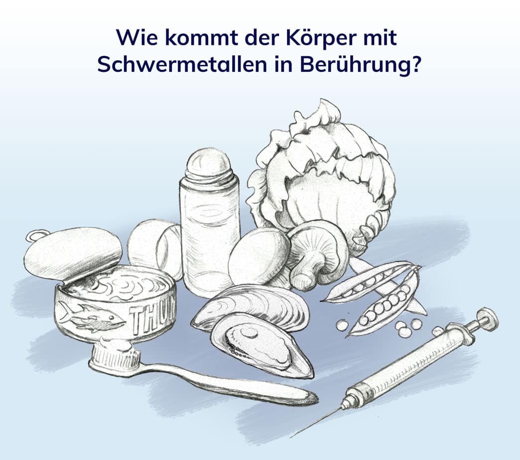 Aluminium Aus Korper Ausleiten